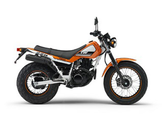 Yamaha TW225 TW225E Motorcycle OEM Parts | 19316