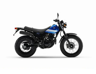 Yamaha TW225 TW225E Motorcycle OEM Parts | 19316